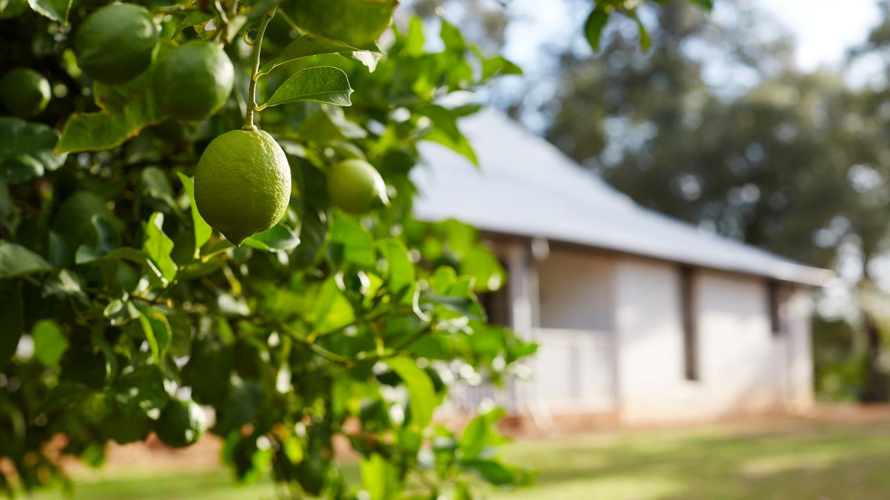 Peninsula Farm