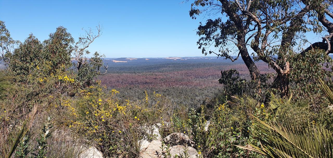 Darling Range Twin Peaks Hike - Turers - Australia
