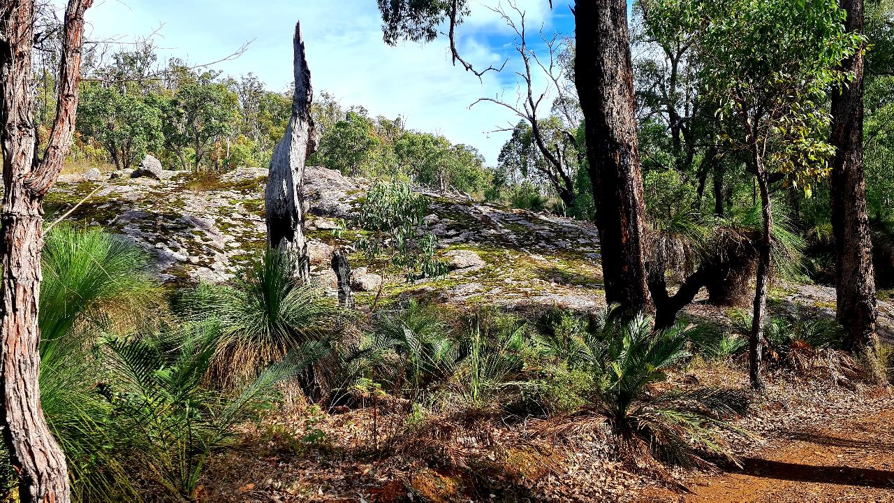 Dwellingup Trains, Trails & Woodfired Delights