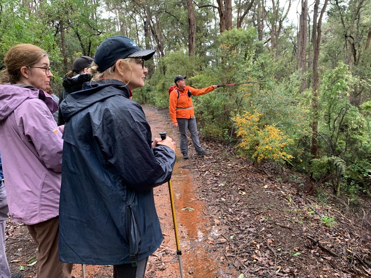 Chuditch & Island Pool Guided Hike - Off The Beaten Track WA Reservations