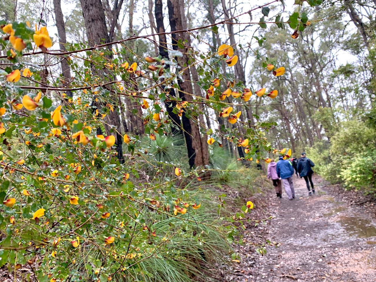 Chuditch & Island Pool Guided Hike - Off The Beaten Track WA Reservations