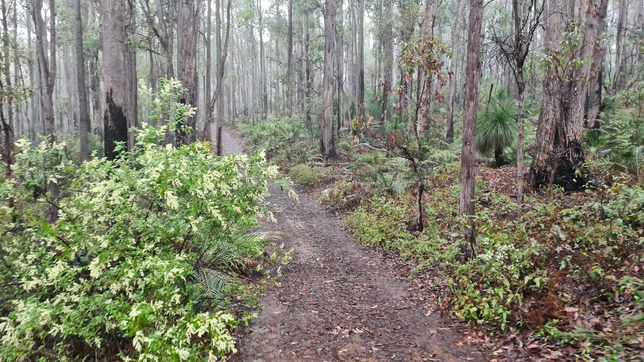 Chuditch & Island Pool Guided Hike - Off The Beaten Track WA Reservations