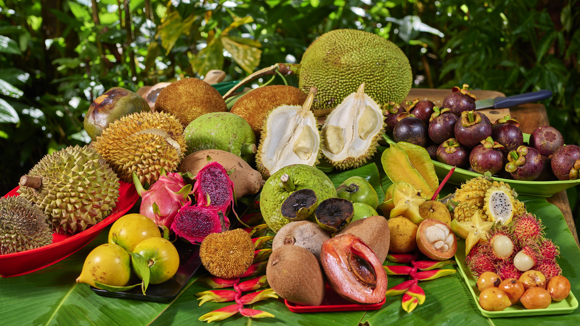 Exotic Fruits The Exotic Tropical Fruit Markets Of Rio De Janeiro Exotic Fruits The Exotic Tropical Fruit Markets Of Rio De Janeiro