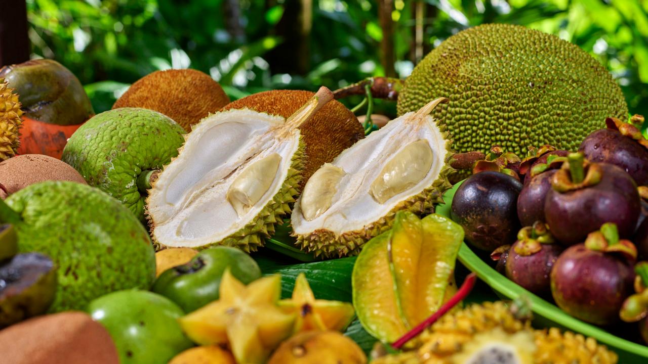 Cape Tribulation Exotic Fruit Tasting