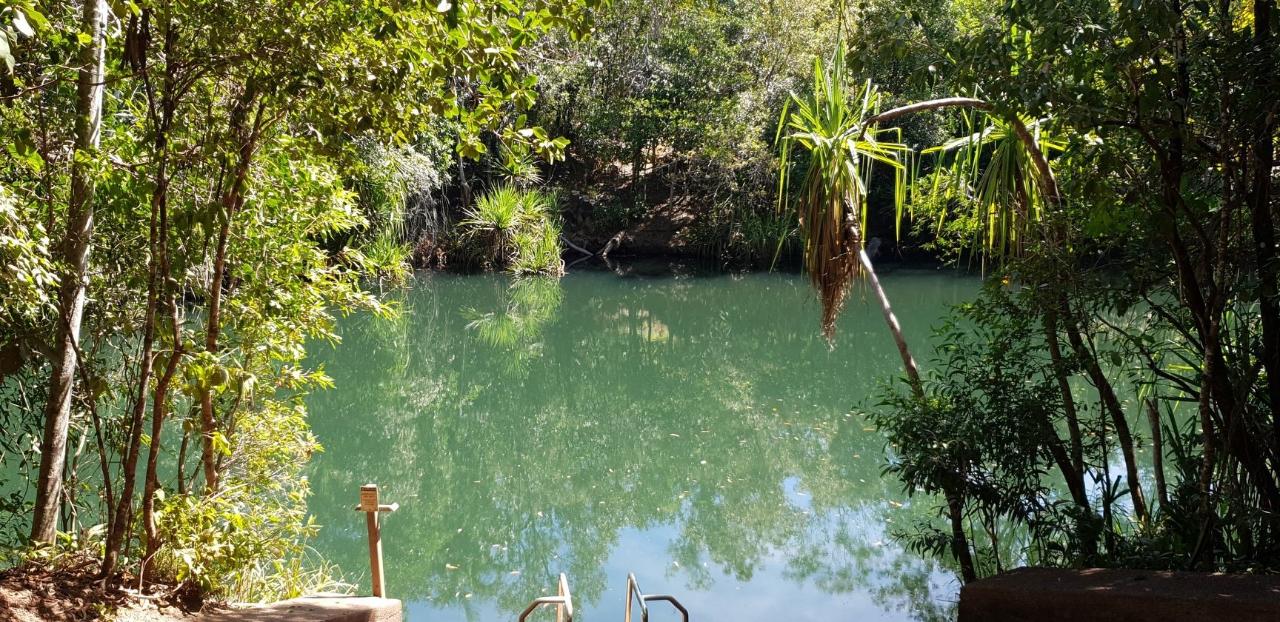 Berry Springs and Crocodile Cruise - Litchfield Park Adventures ...