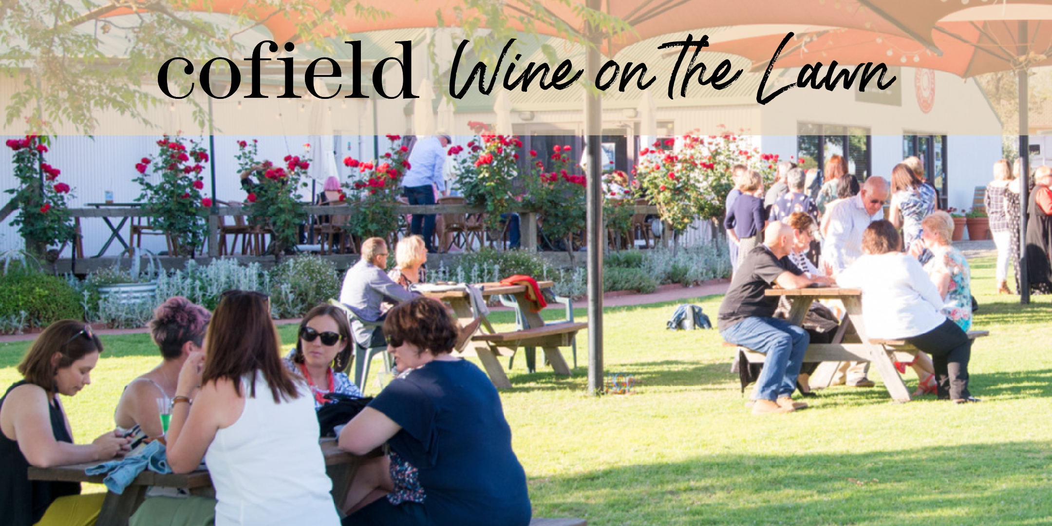 Wine by the glass or bottle on the lawn - Cofield Wines Reservations