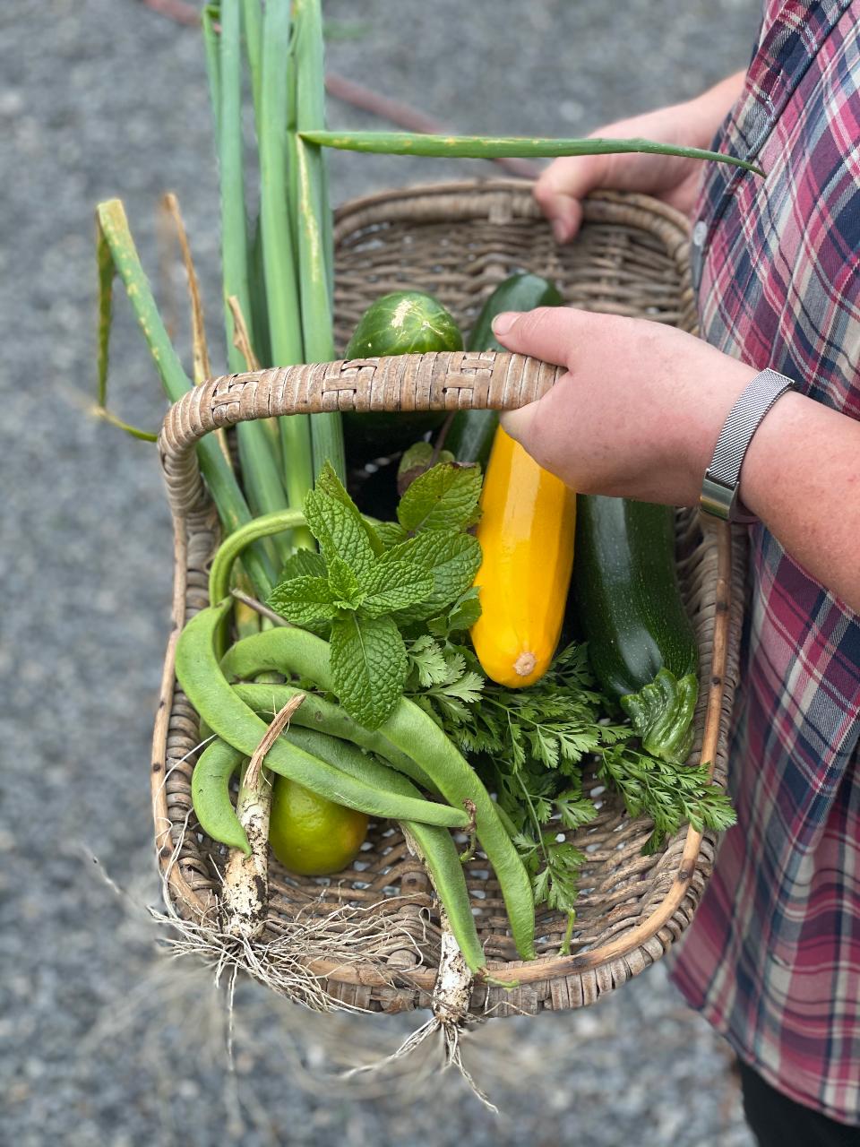 Unique Dining Experience - The Supper Club at Hapuku Kitchen, Kaikōura ...