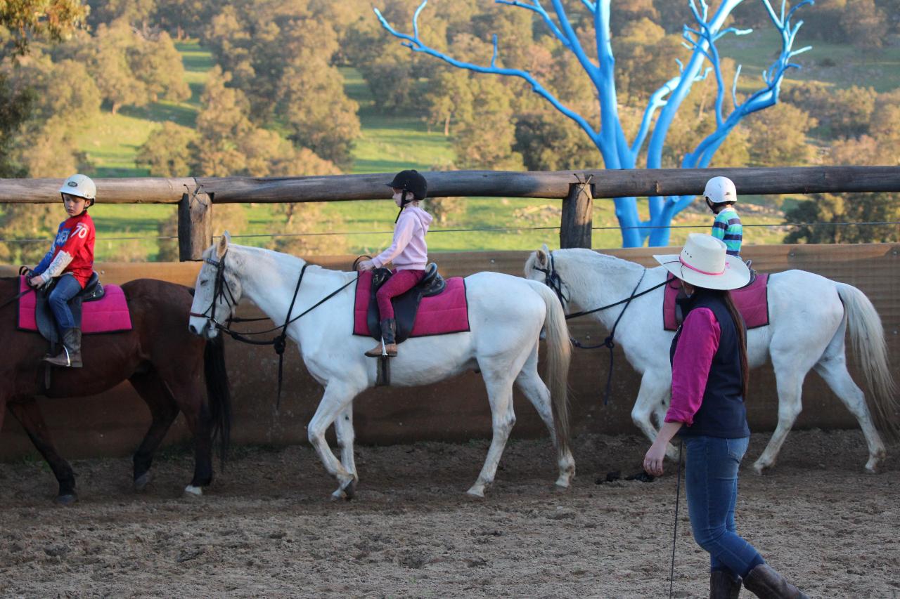 horseHorses, Horseriding, Perth, Western Australia, Fun, Family, Scenic ...