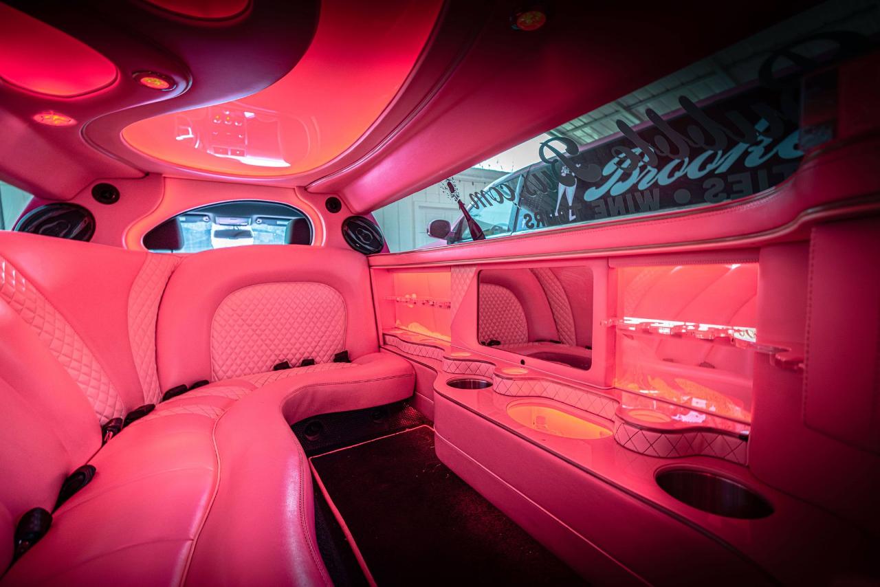 PINK CHALLENGER LIMO Wine Tour (PRIVATE) - Brooke's Bubble Bus Reservations