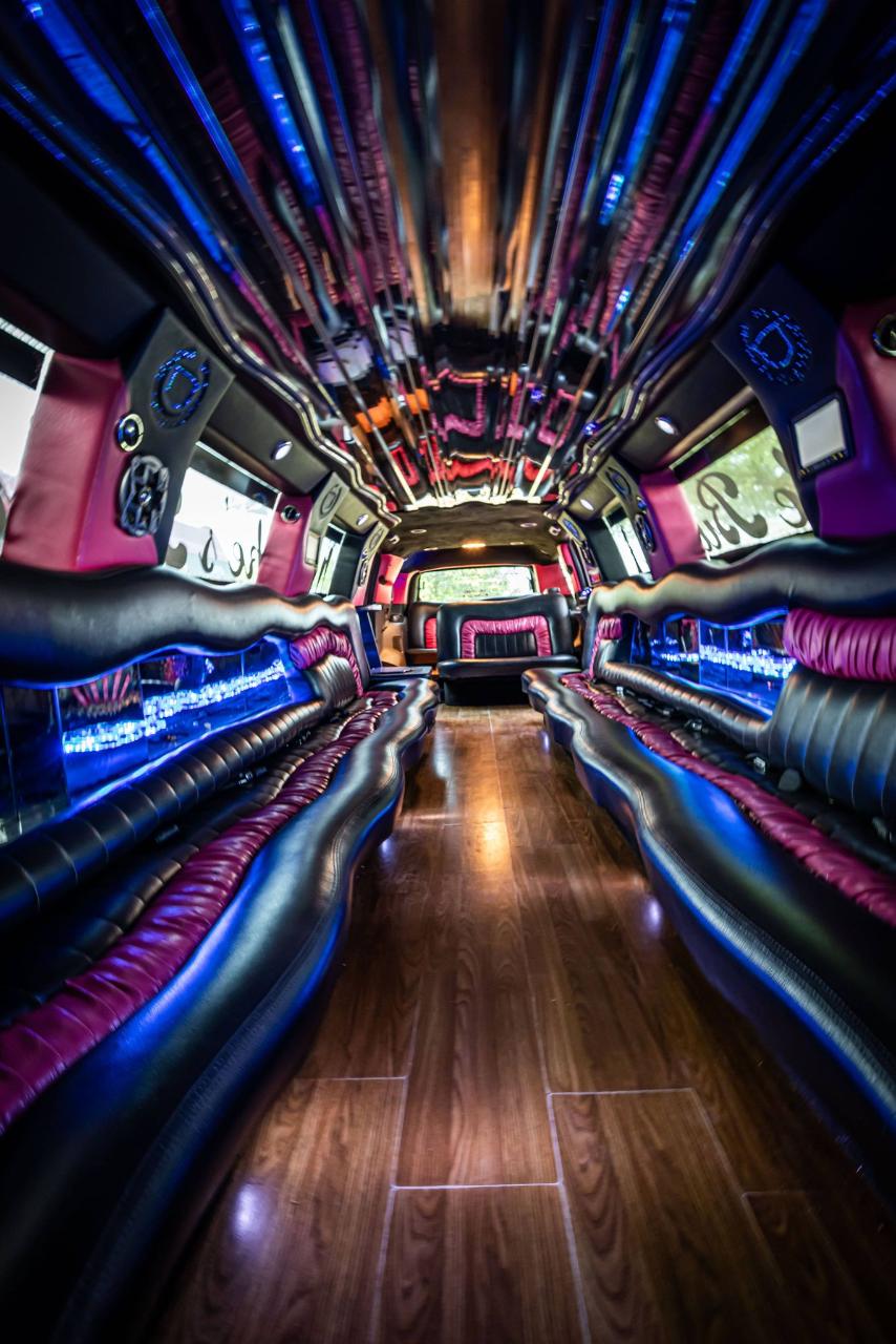 PINK ESCALADE LIMO Wine Tour (PRIVATE) - Brooke's Bubble Bus Reservations