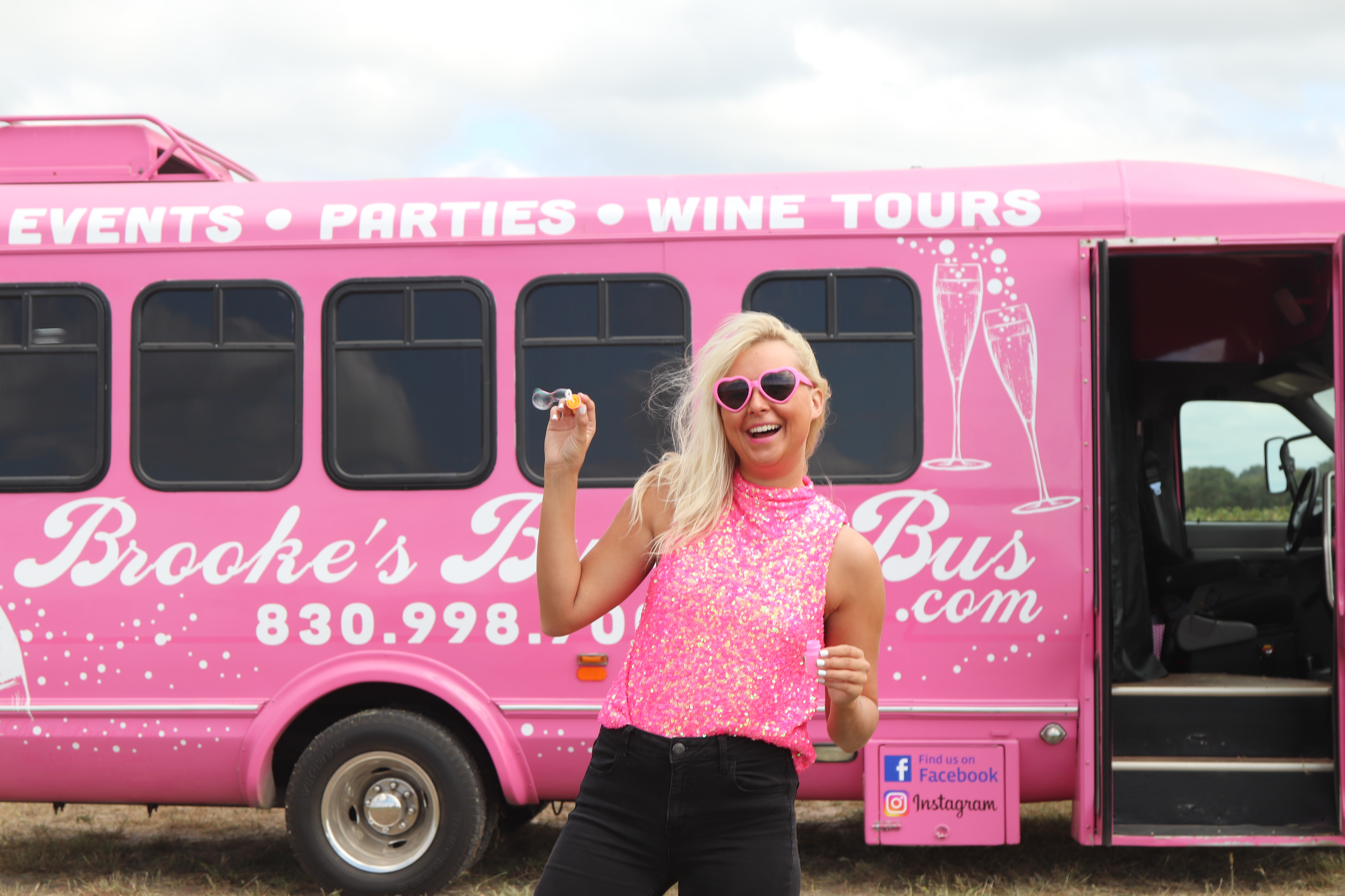 PINK DISCO PARTY BUS Wine Tour (PRIVATE) - Brooke's Bubble Bus Reservations