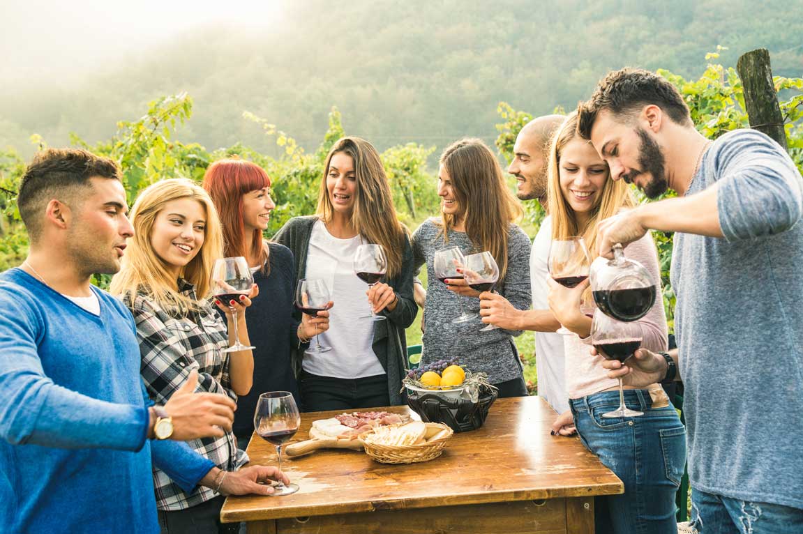 Full Day Wine Tour - Fully Inclusive Package with Lunch and Tasting ...