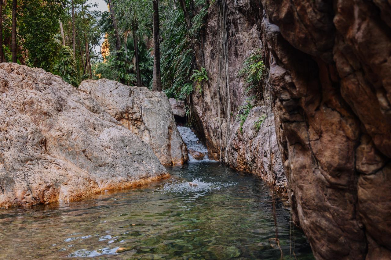 El Questro Gorge & Zebedee Springs Tour - Departing from The Station ...