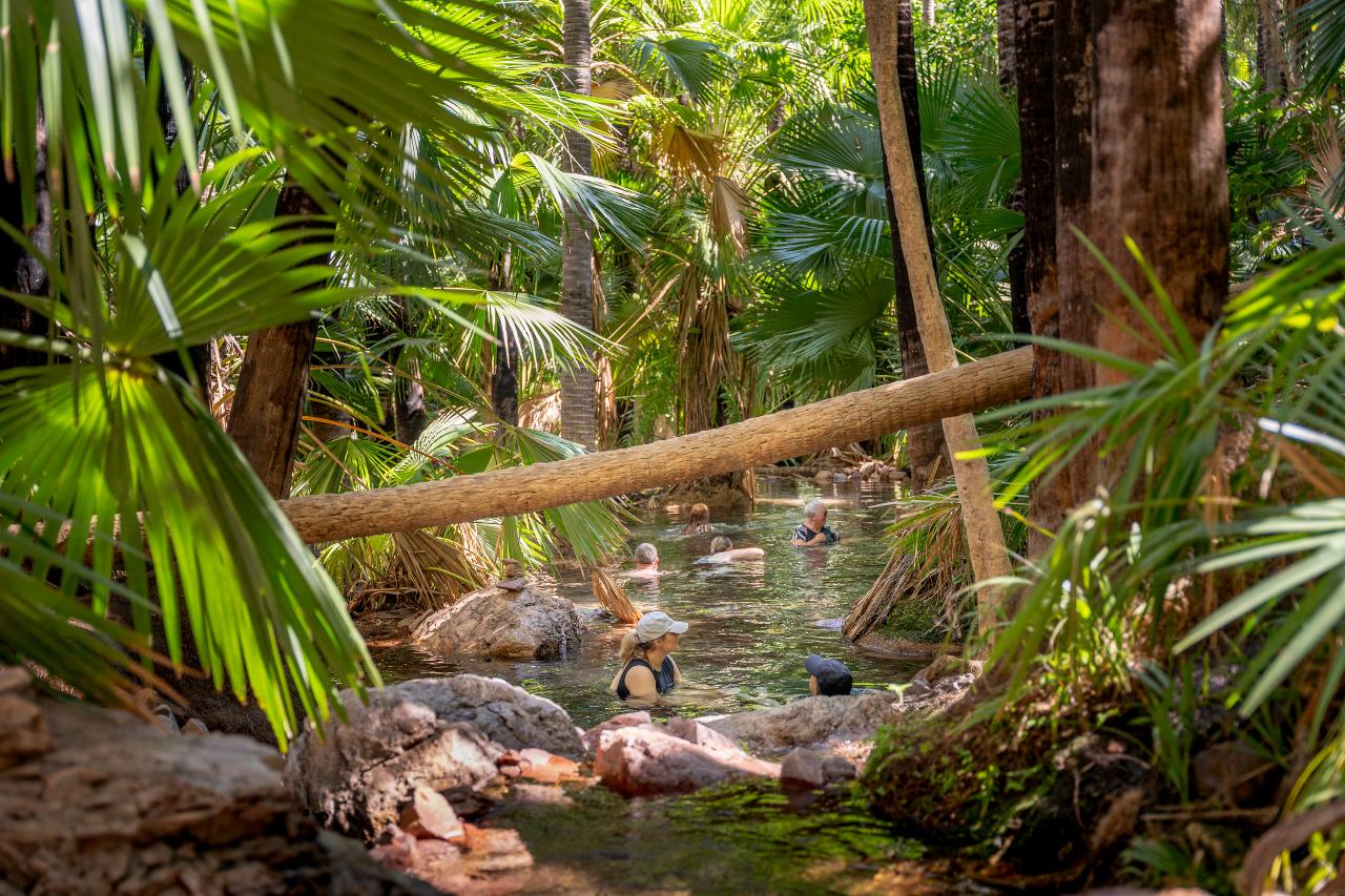 El Questro Gorge & Zebedee Springs Tour - Departing from The Station ...