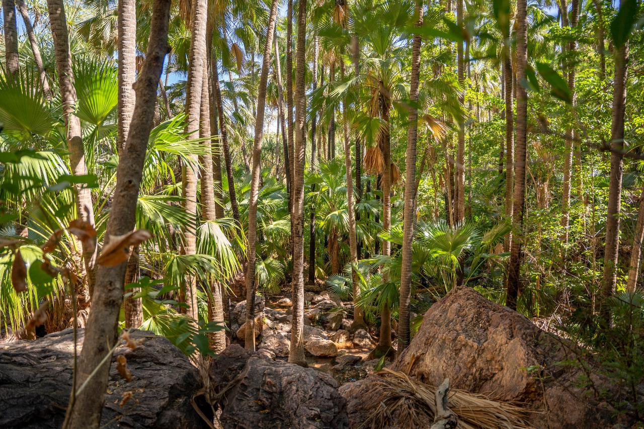 Full Day Tour - Emma Gorge - Departing from Emma Gorge - El Questro ...