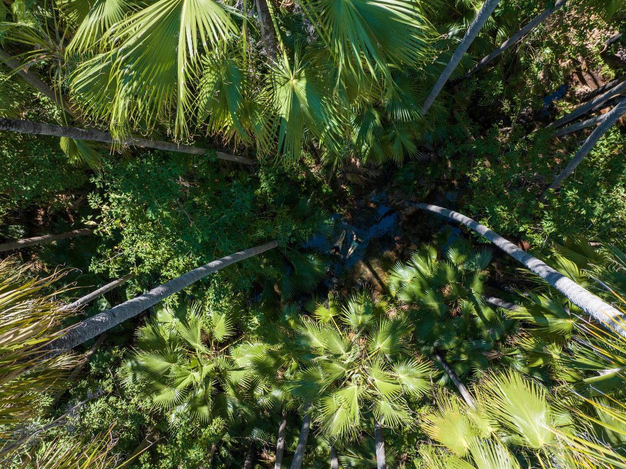 Full Day Tour - Emma Gorge - Departing Kununurra - El Questro Reservations