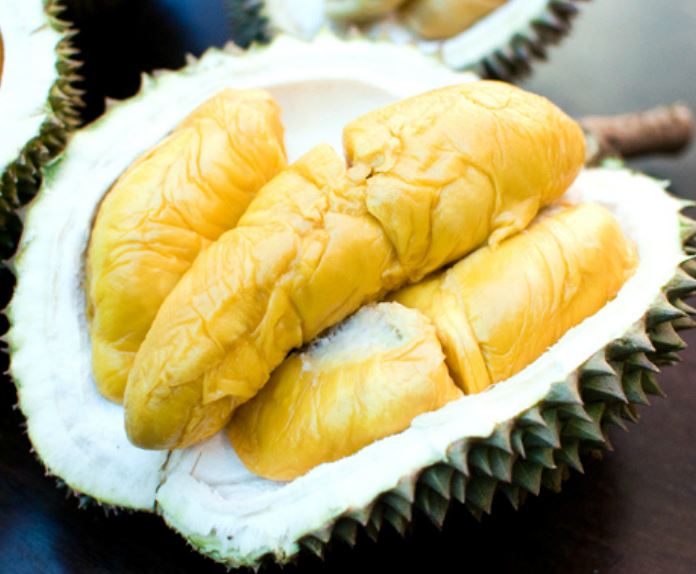 ONE DAY DURIAN FEAST BY COACH - EU Holidays Pte Ltd Reservations