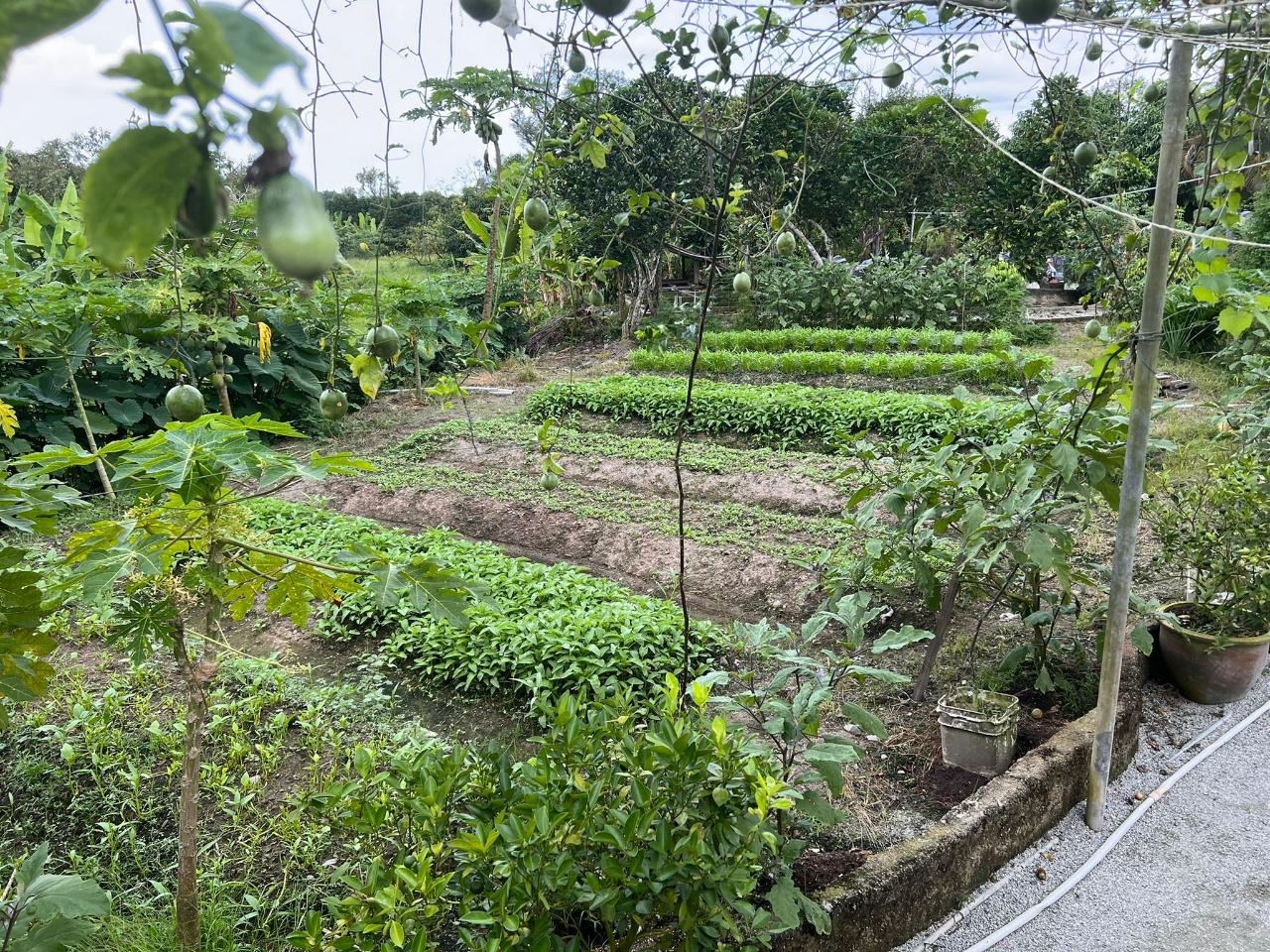 ONE DAY DESARU TOUR BY COACH - EU Holidays Pte Ltd Reservations