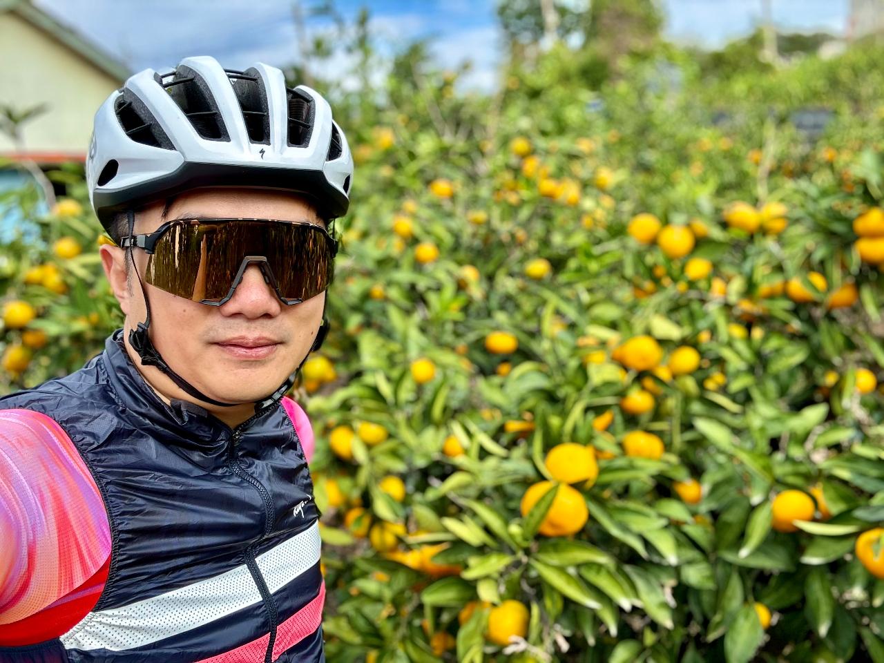 6D5N Jeju Island Cycling Land Tour ( Foldie Bike ) - EU Holidays Pte ...