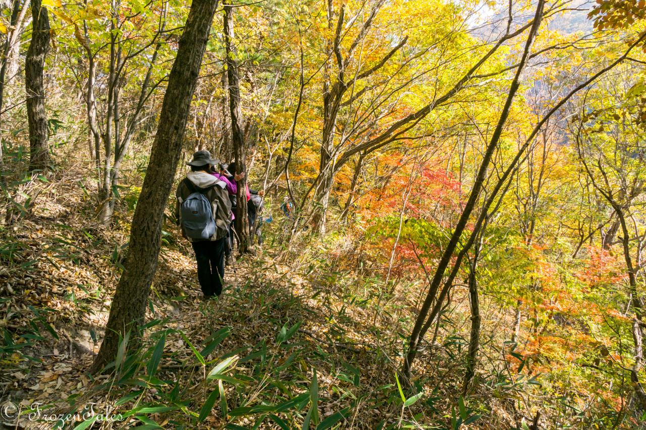 7D6N Autumn Jeolla Wondrous Hiking Tour (Land only) (Special Departure ...