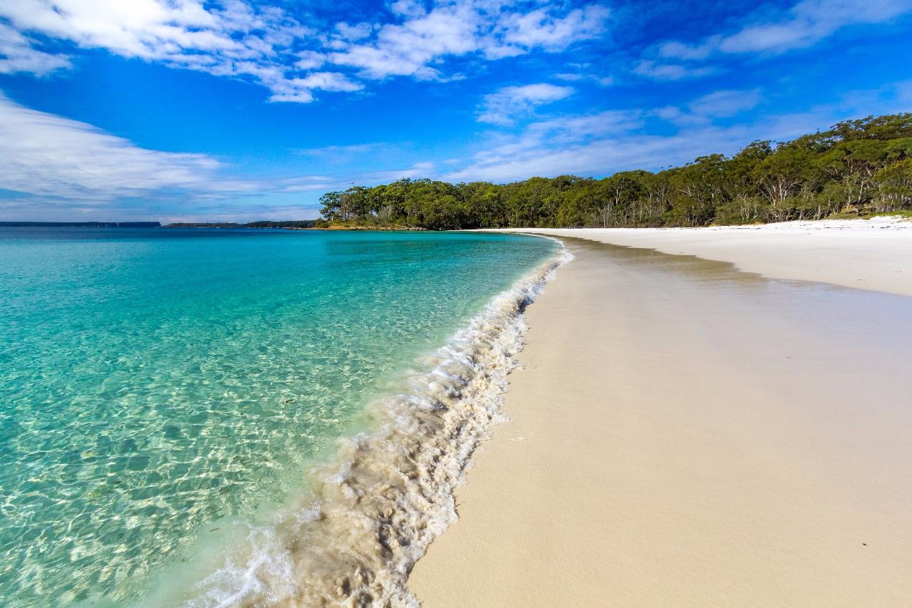 Sydney: Jervis Bay Day Tour - Dolphins, Kangaroos & Whitest Sand Beach