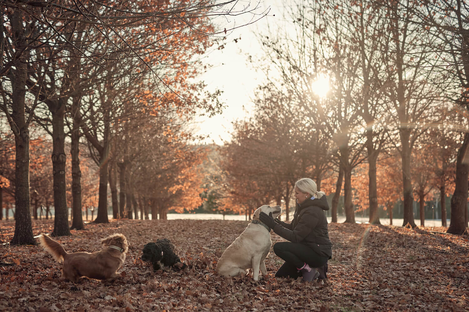 TRUFFLE HUNT AND BRUNCH - The Truffle Farm Reservations