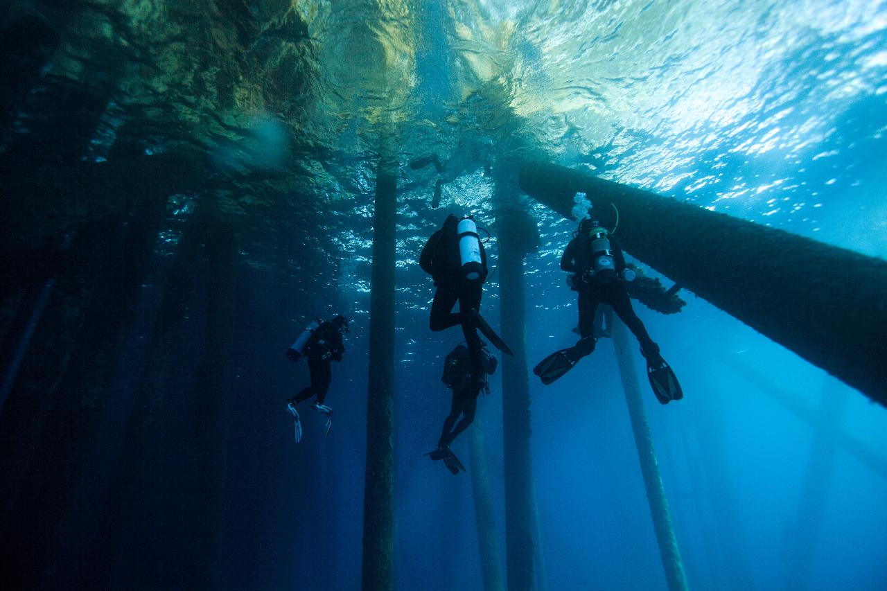 Discover Local Diving in Perth - Turers - Australia