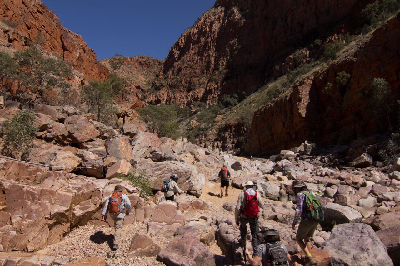 Autopia Tours: Trek the Larapinta Trail 5 Day Adventure - Private ...