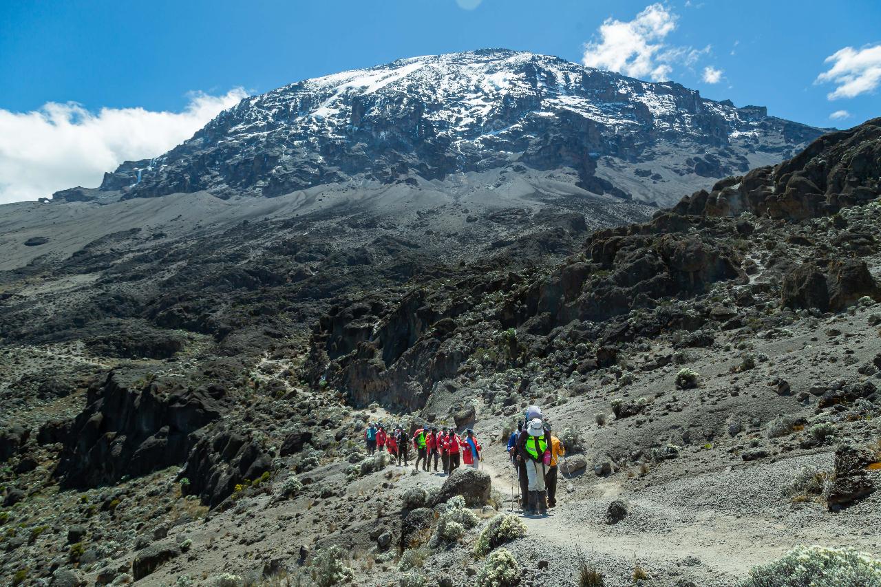 Moshi - KILIMANJARO MACHAME - 7 DAYS TREK | MapoTapo
