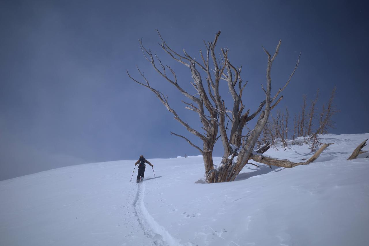 Salt Lake City - BACKCOUNTRY SKI TOUR IN THE WASATCH MOUNTAIN - UTAH ...