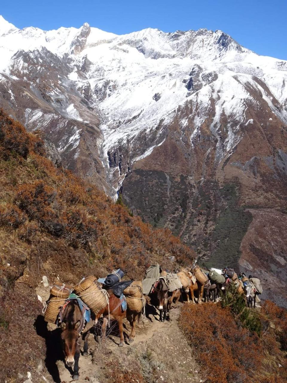 Paro - HIKING IN BHUTAN - JOMOLHARI DODENA TREK | MapoTapo