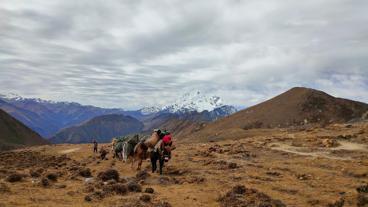 Paro - HIKING IN BHUTAN - JOMOLHARI DODENA TREK | MapoTapo