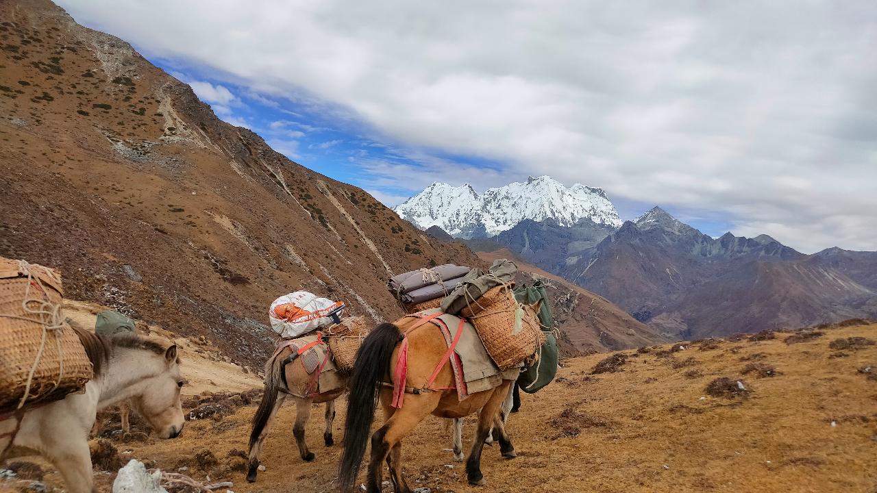 Paro - HIKING IN BHUTAN - JOMOLHARI DODENA TREK | MapoTapo
