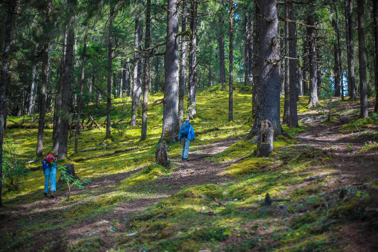 Paro - HIKING IN BHUTAN - JOMOLHARI DODENA TREK | MapoTapo