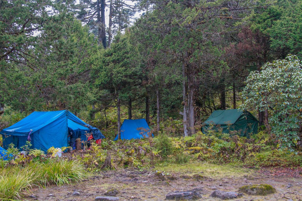Paro - HIKING IN BHUTAN - JOMOLHARI DODENA TREK | MapoTapo