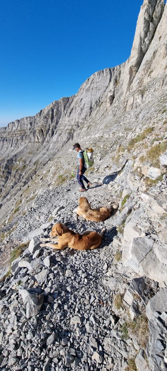 Litohoro - HIKE MOUNT OLYMPUS - GREECE'S HIGHEST MOUNTAIN | MapoTapo