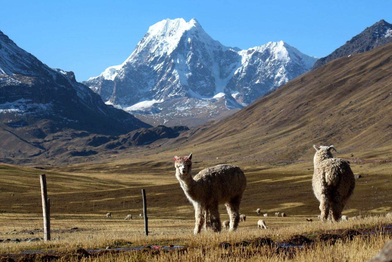 Cusco - RAINBOW MOUNTAIN TOUR TO MACHU PICCHU | MapoTapo