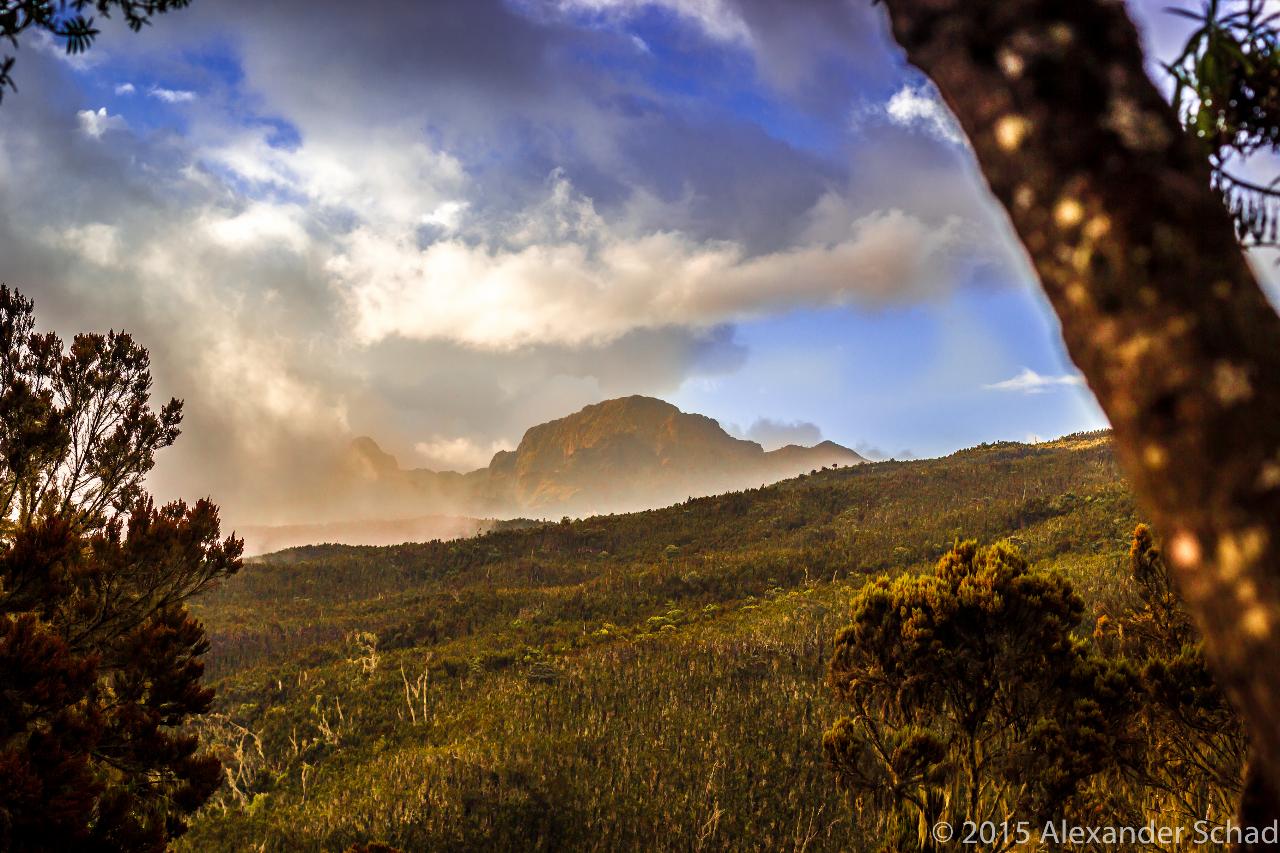 Moshi - KILIMANJARO RONGAI ROUTE TREK | MapoTapo