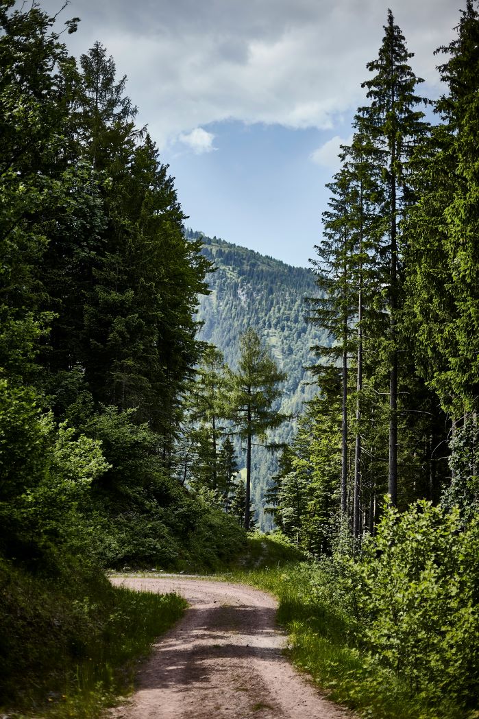 Nanaimo - EXPLORE CANADA’S WILD WEST COAST TRAIL | MapoTapo