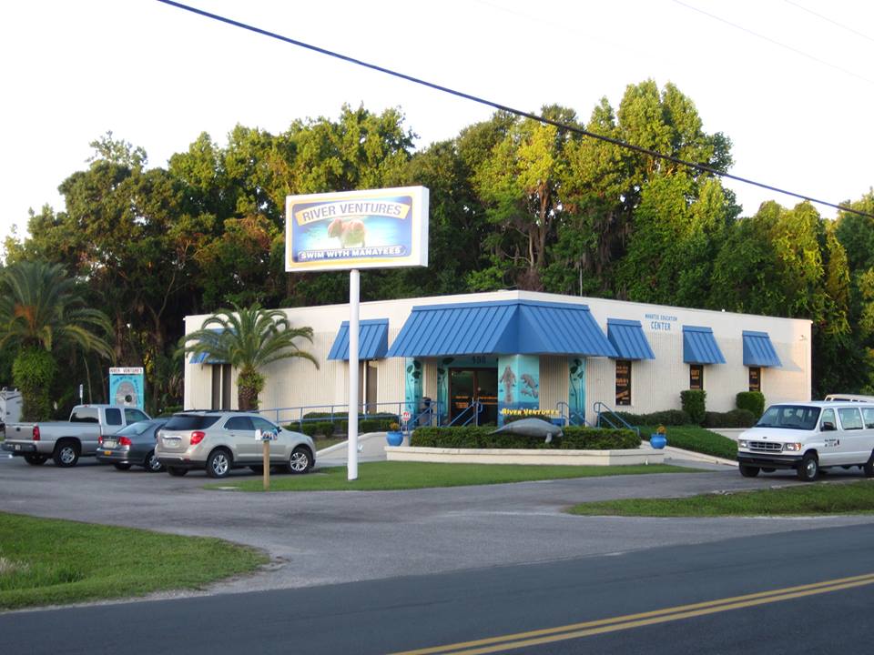 Semi-Private or Private Heated VIP Manatee Swim Tour - Pontoon of Privilege - Crystal River ...