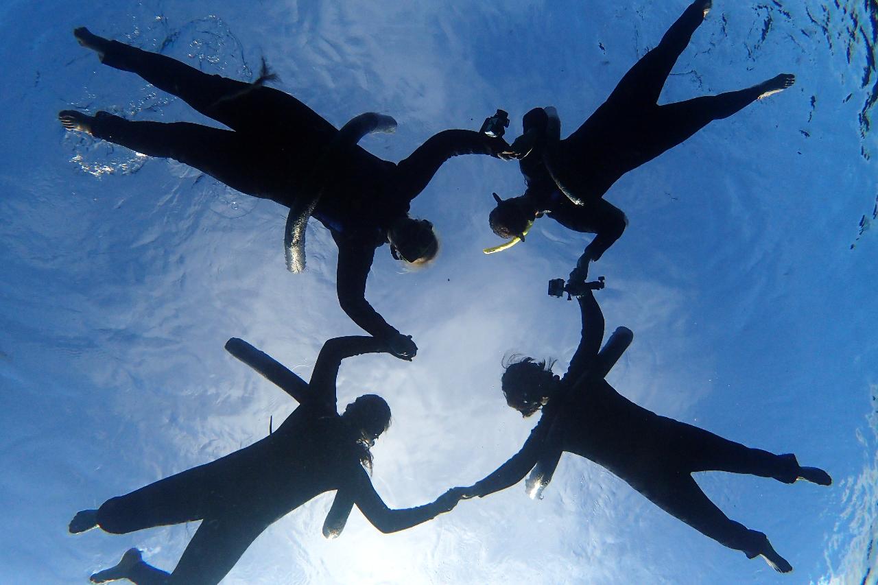 Semi-Private or Private Heated VIP Manatee Swim Tour - Pontoon of Privilege - Crystal River ...