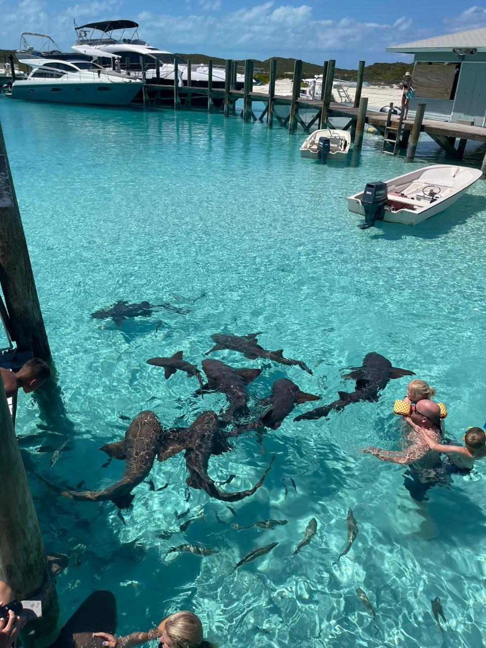 Malargo Full Day Swimming Pigs Tour (PRIVATE CHARTER) - Island Boy ...