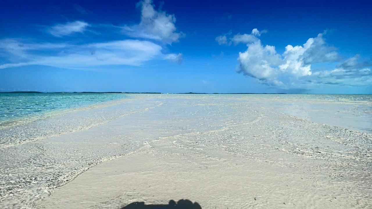 Full Day Sandy Cay Excursion (PRIVATE CHARTER) - Island Boy Adventures ...