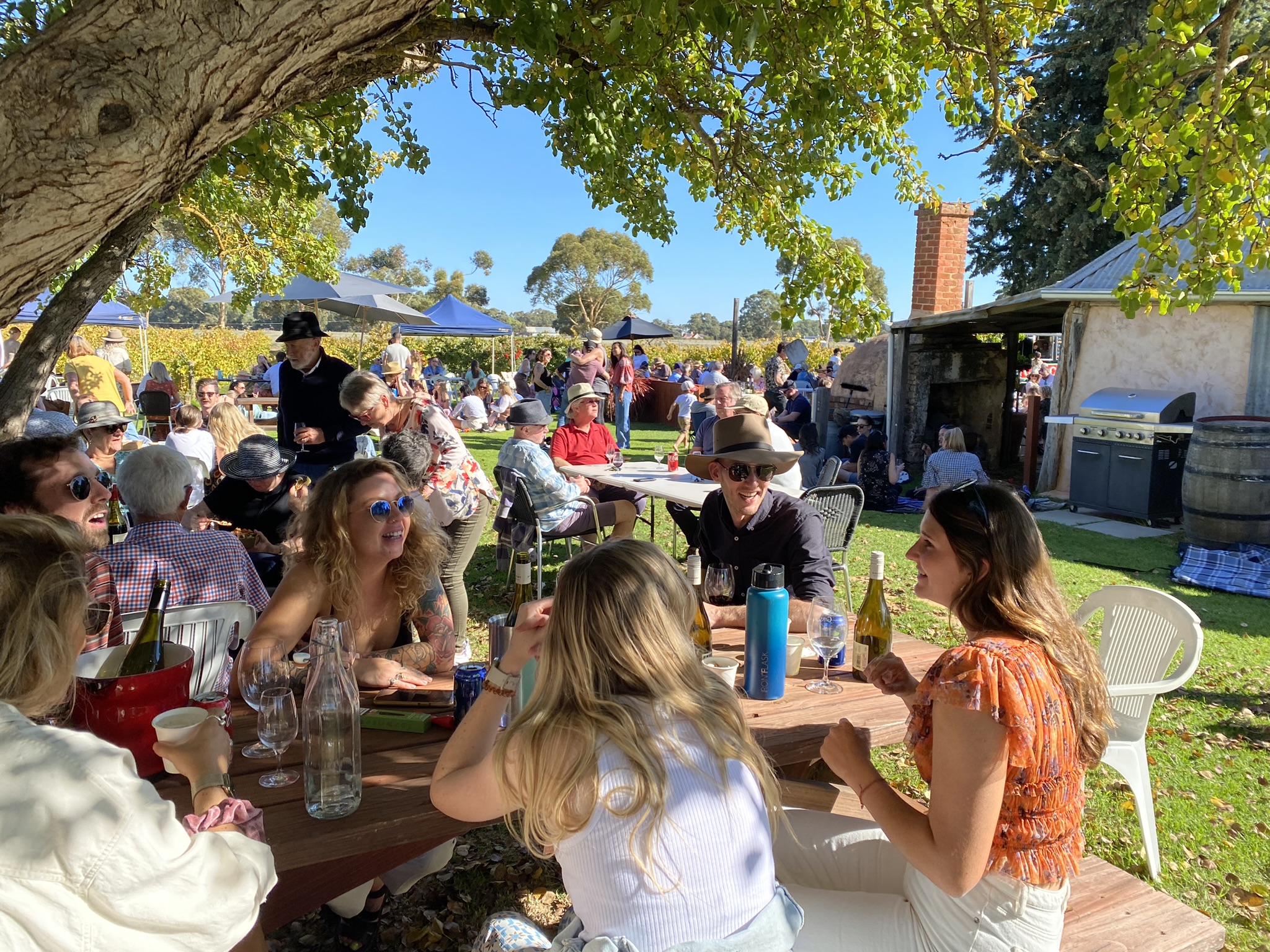 Sunday Fundays at Gibson Wines