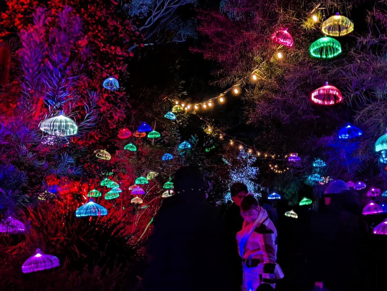 The ENCHANTED Sanctuary - Australian Wildlife Sanctuary Reservations