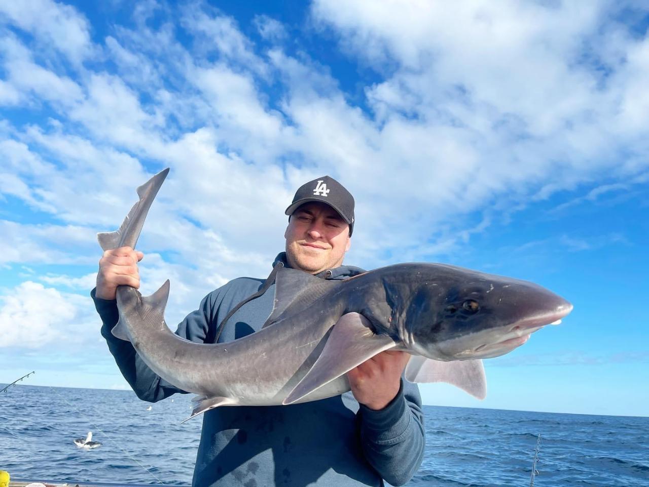 Gummy shark charter 'Individual' (Noosa Cat) - Cassar Fishing Charters ...