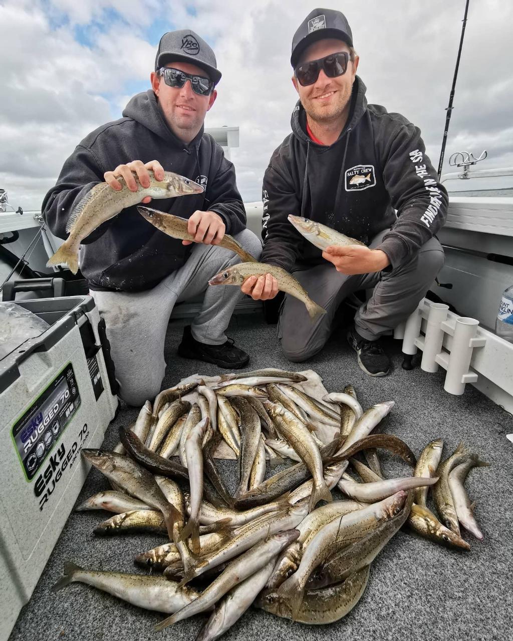Whiting (Individual) Noosacat - Cassar Fishing Charters Reservations