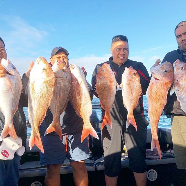 Snapper ‘book the boat' NoosaCat - Cassar Fishing Charters Reservations