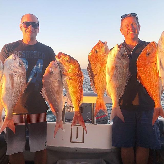 Snapper ‘book the boat' Kevlacat - Cassar Fishing Charters Reservations