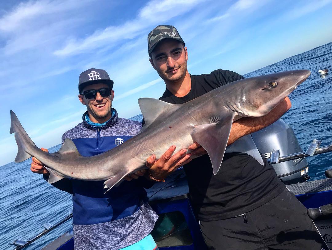 Gummy shark charter 'Individual' (Noosa Cat) - Cassar Fishing Charters ...